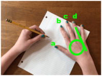 Multisensory Monday: B and D Letter Reversals - Brainspring Store