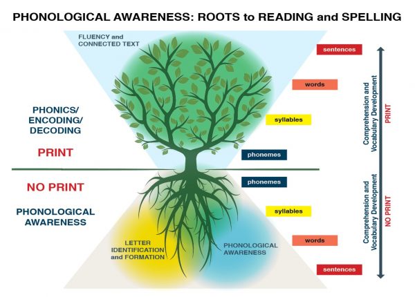 The Roots to Reading and Spelling - Brainspring Store
