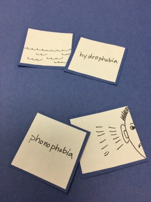 “Phobia” Root Word: Meaning, Words, & Activity - Brainspring Store